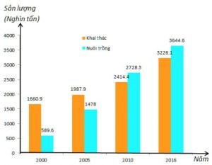 Cách vẽ biểu đồ Địa Lý nhanh và chuẩn chi tiết