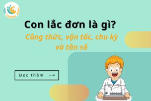Con lắc đơn là gì? Công thức, vận tốc, chu kỳ và tần số